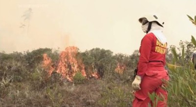 15 dead and thousands of hectares scorched as wildfires sweep Peru ...