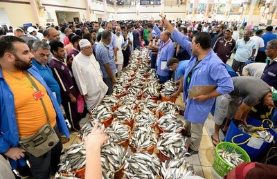 Changes to fish auction rules: Visiting Participant cards, fees, and ...