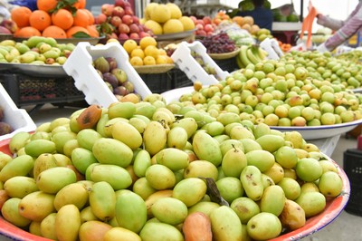 Nabq fruit gains popularity in Kuwait for its delicious taste and ...
