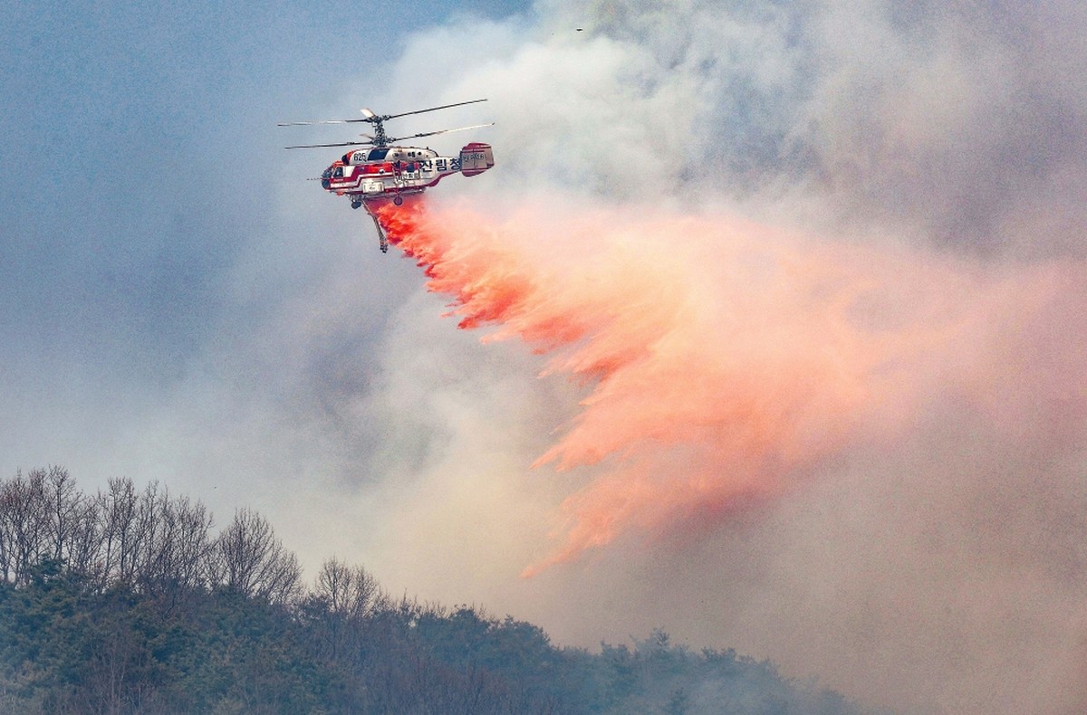 S.Korean firefighters make progress in containing wildfires in ...