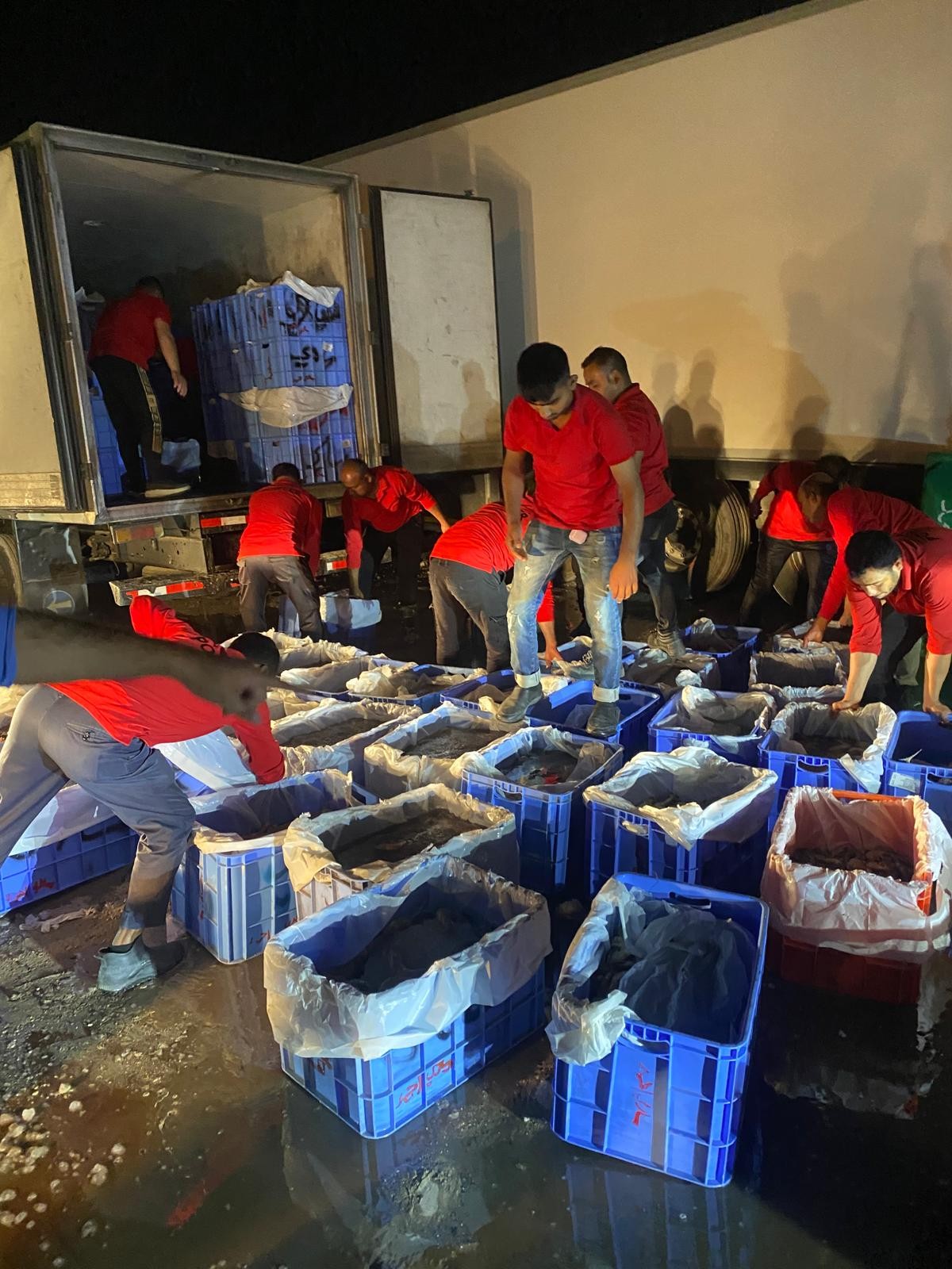 4 Trucks Full of Rotten Seafood Seized & Destroyed in Kuwait | arabtimes