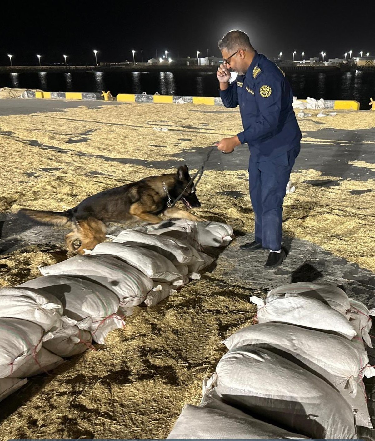 Drugs hidden in an animal feed shipment from Iran seized by Kuwait ...