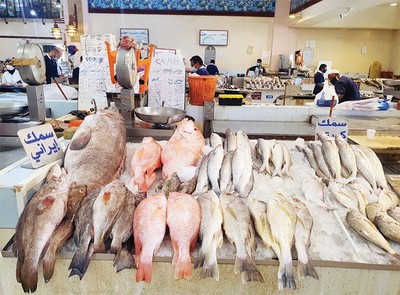 Discover Kuwait’s Most Popular Fish Varieties – Loved Despite High ...