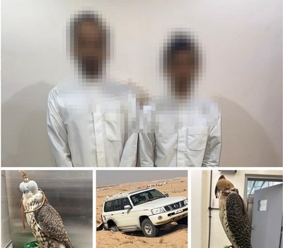 Falcon Hunters Caught Red-Handed inside Sabah Al-Ahmad Nature Reserve ...