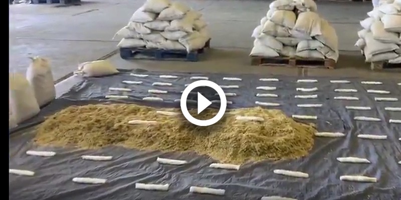 101 rolls of drugs hidden in sheep fodder bags | arabtimes