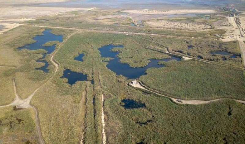 ‘More reserves to be built in north Kuwait’ | arabtimes