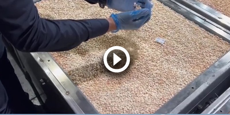 Customs seizes 4 million Captagon pills | arabtimes