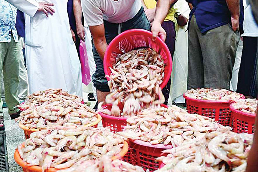 One basket shrimps for KD 15; 700 baskets sold | arabtimes