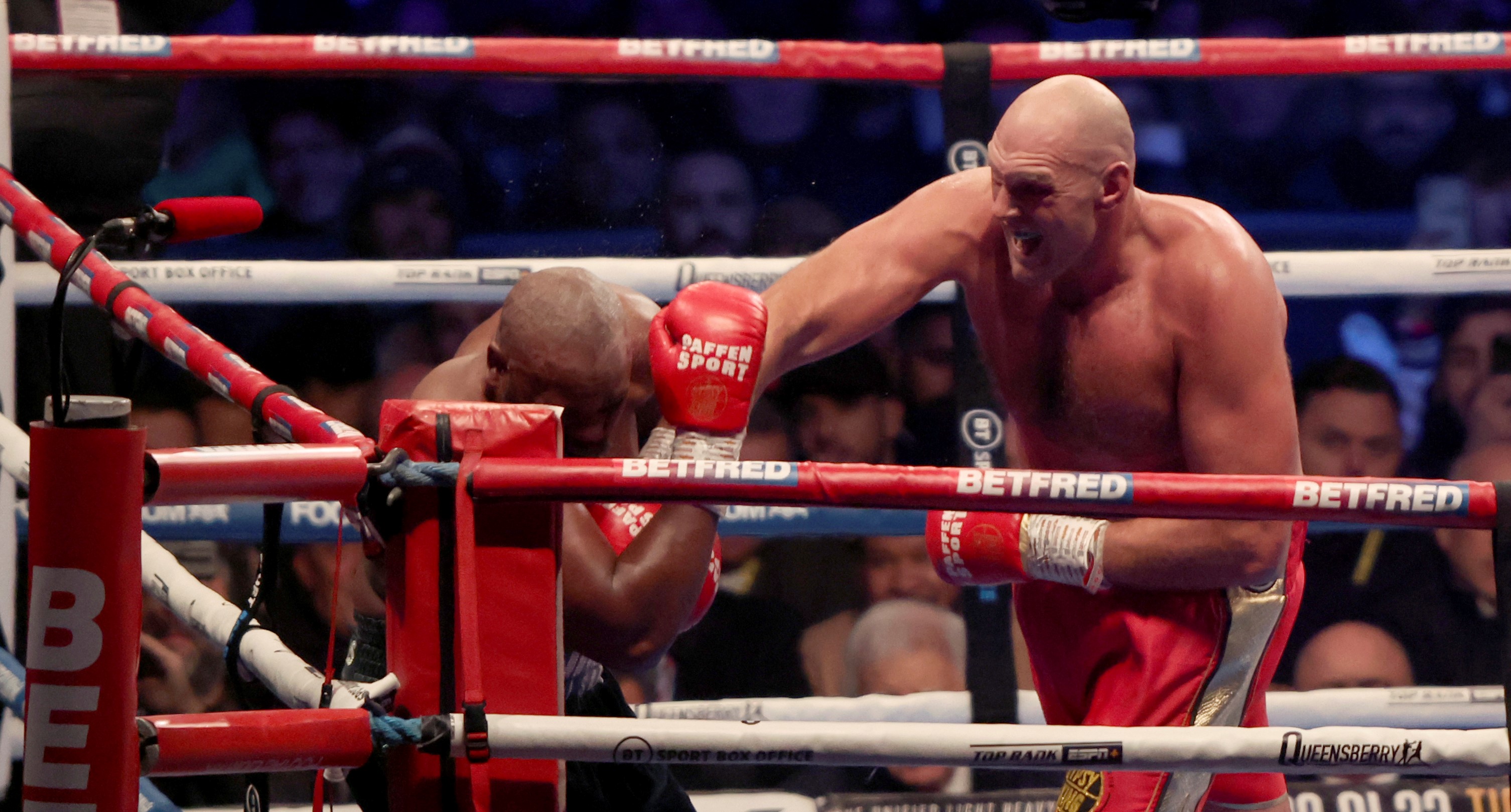 Fury to fight Usyk for undisputed heavyweight title | arabtimes