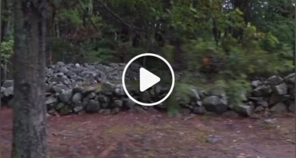 Google Maps' First Ghost Emerges From a Cemetery | arabtimes