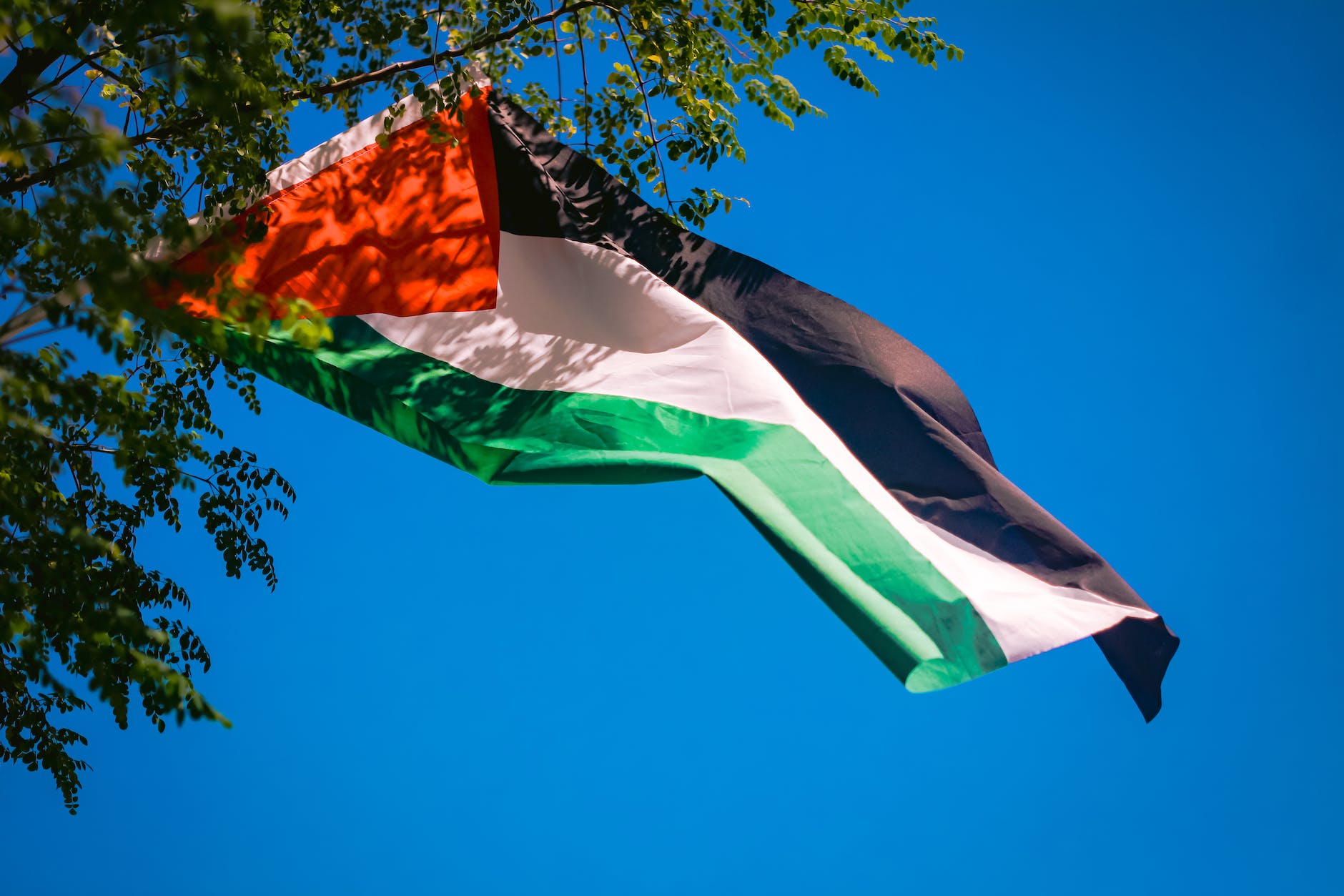No shows for pro-Palestinian rally in Kuwait | arabtimes