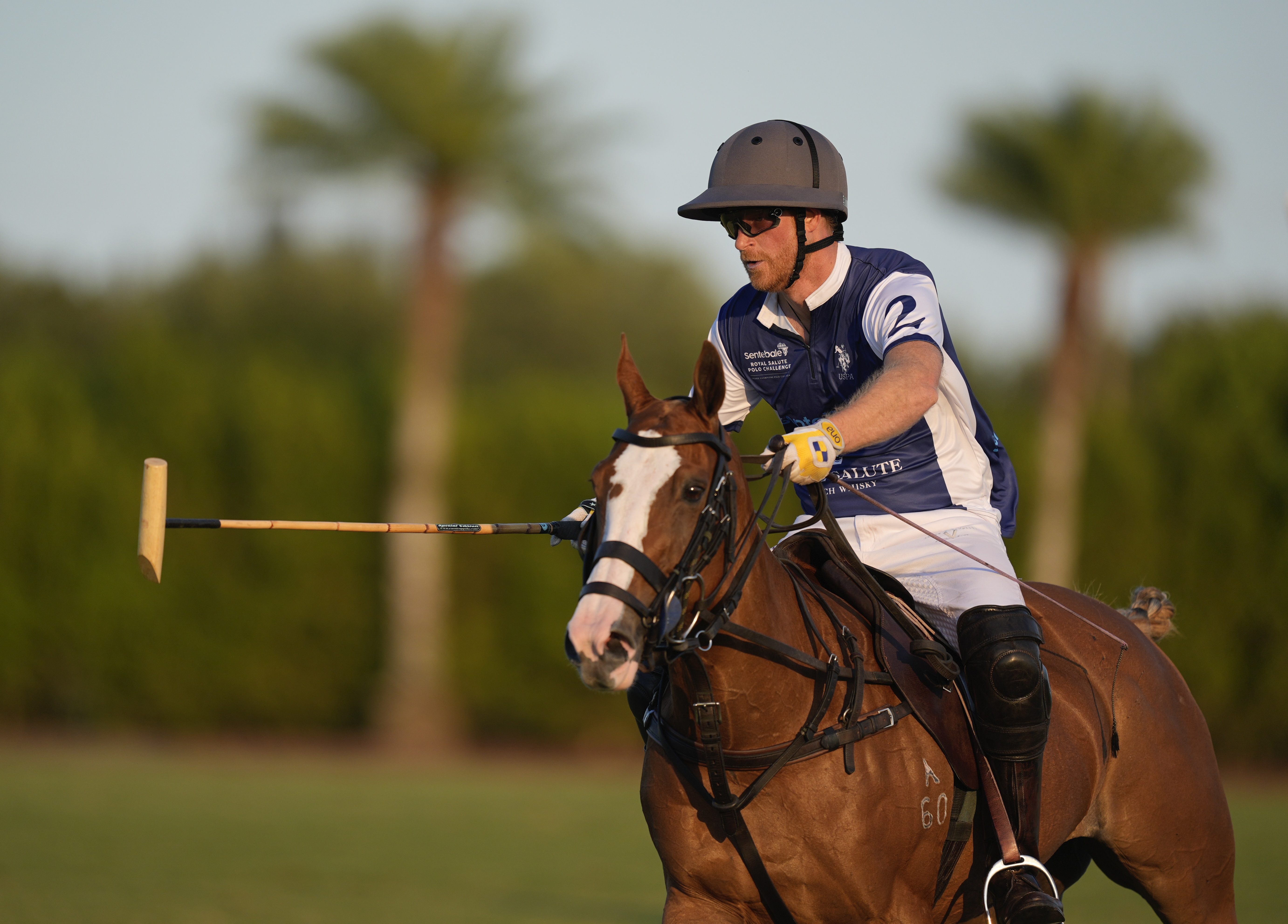 Prince Harry scores goal in charity polo match as Meghan, Netflix ...