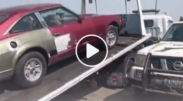 Crack Down on Reckless Driver Featured in Viral Video | arabtimes
