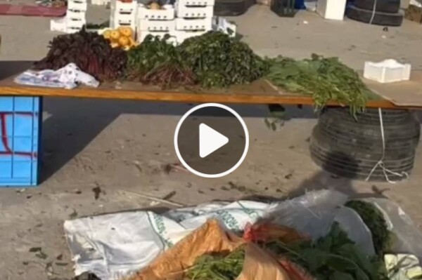 Security Campaign Targets Street Vendors in Mahboula, Five Detained ...